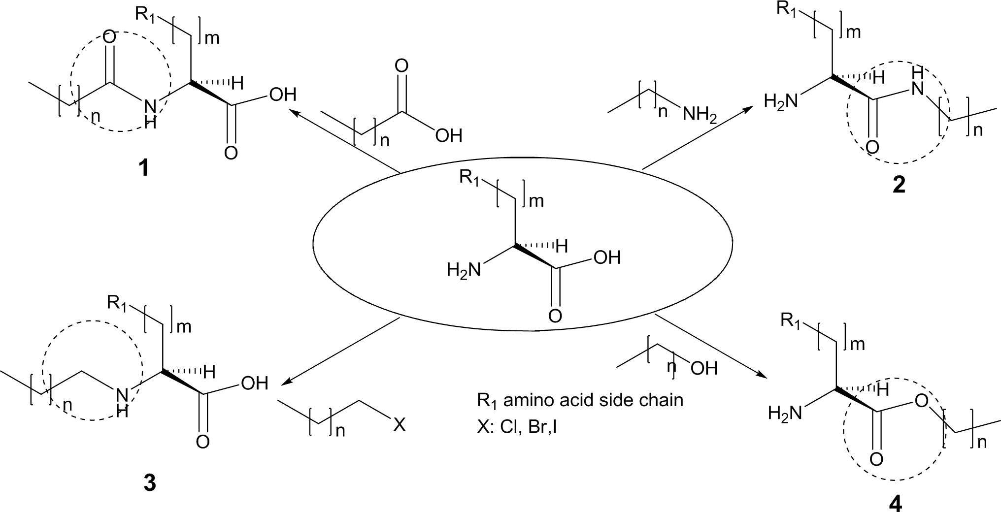 Amino Acid-based Surfactants - Sunchemgroup.com: Sunchem is specialized ...
